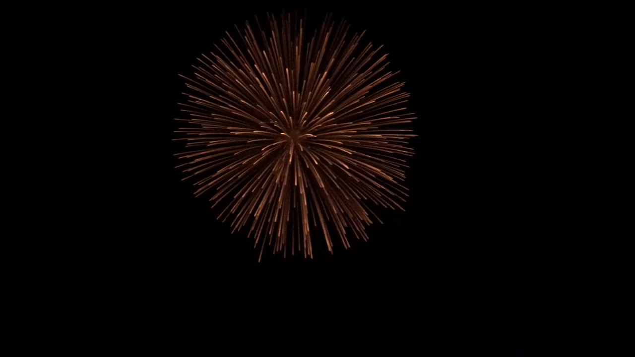 16 Inch Gold Willow Shell - YouTube