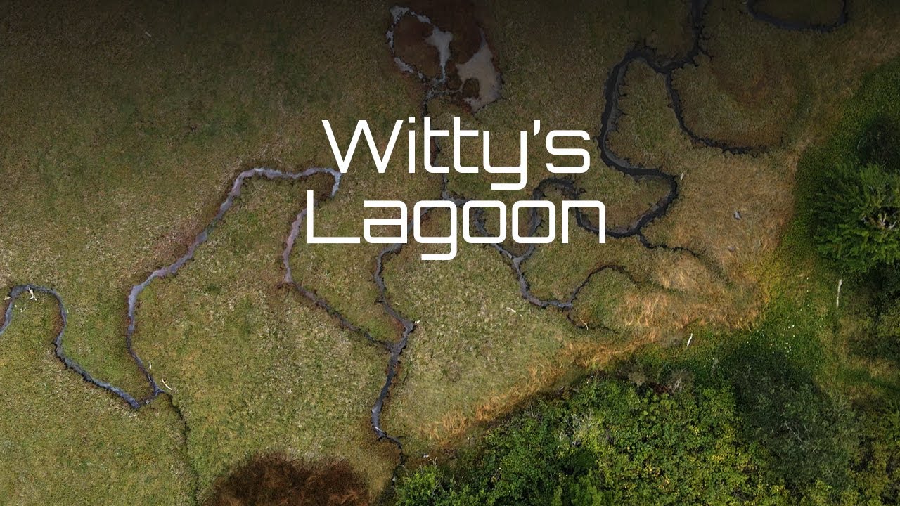 Witty's Lagoon - YouTube