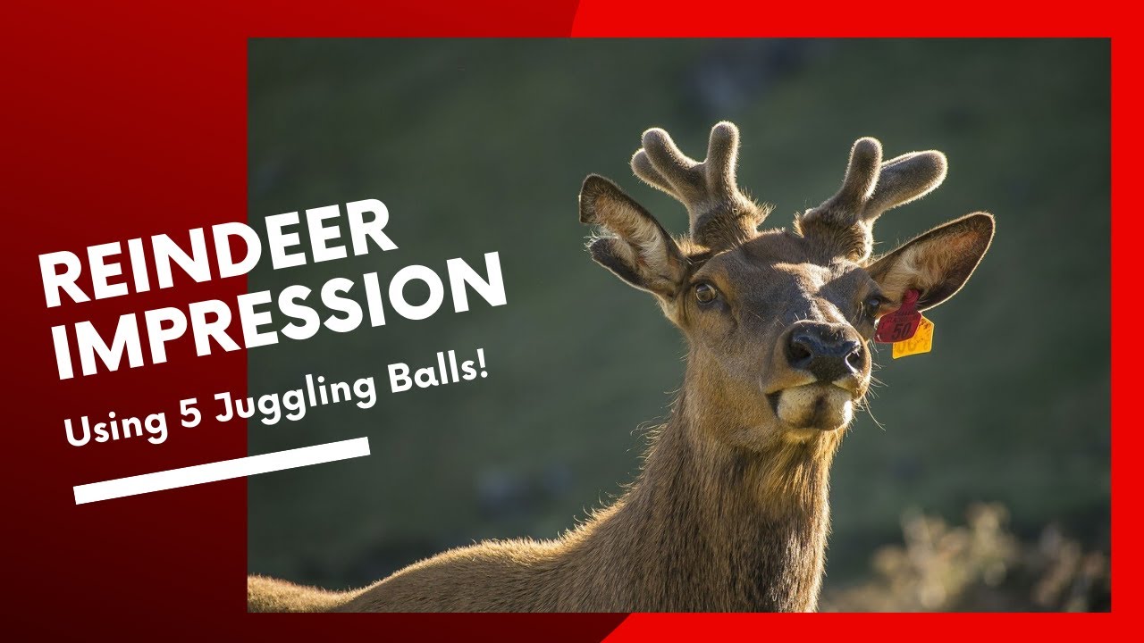 Reindeer Impression using 5 Juggling Balls - YouTube