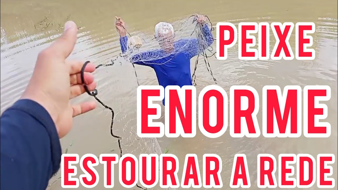 GRAVAMOS O MOMENTO EXATO QUE UM PEIXE GIGANTE ESTOUROU A REDE + NO ...