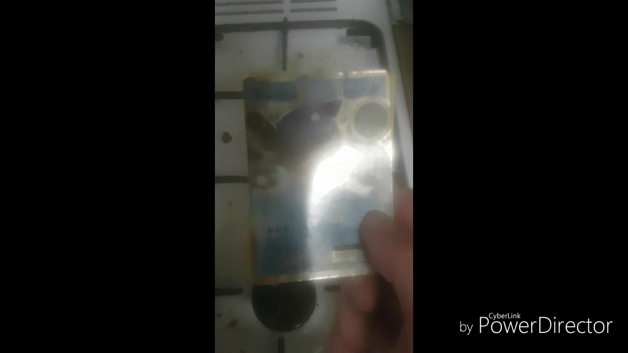 How to get a charizard by cooking - YouTube