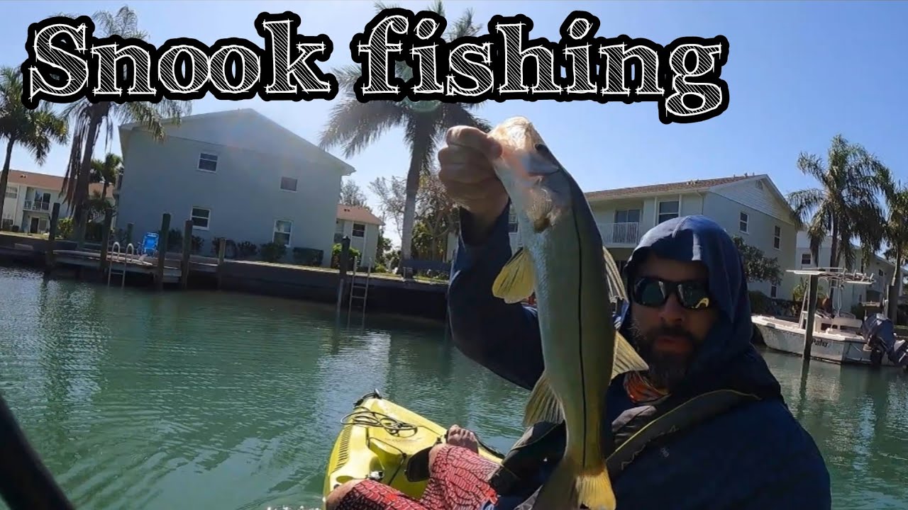 snook fishing on anna maria island - YouTube
