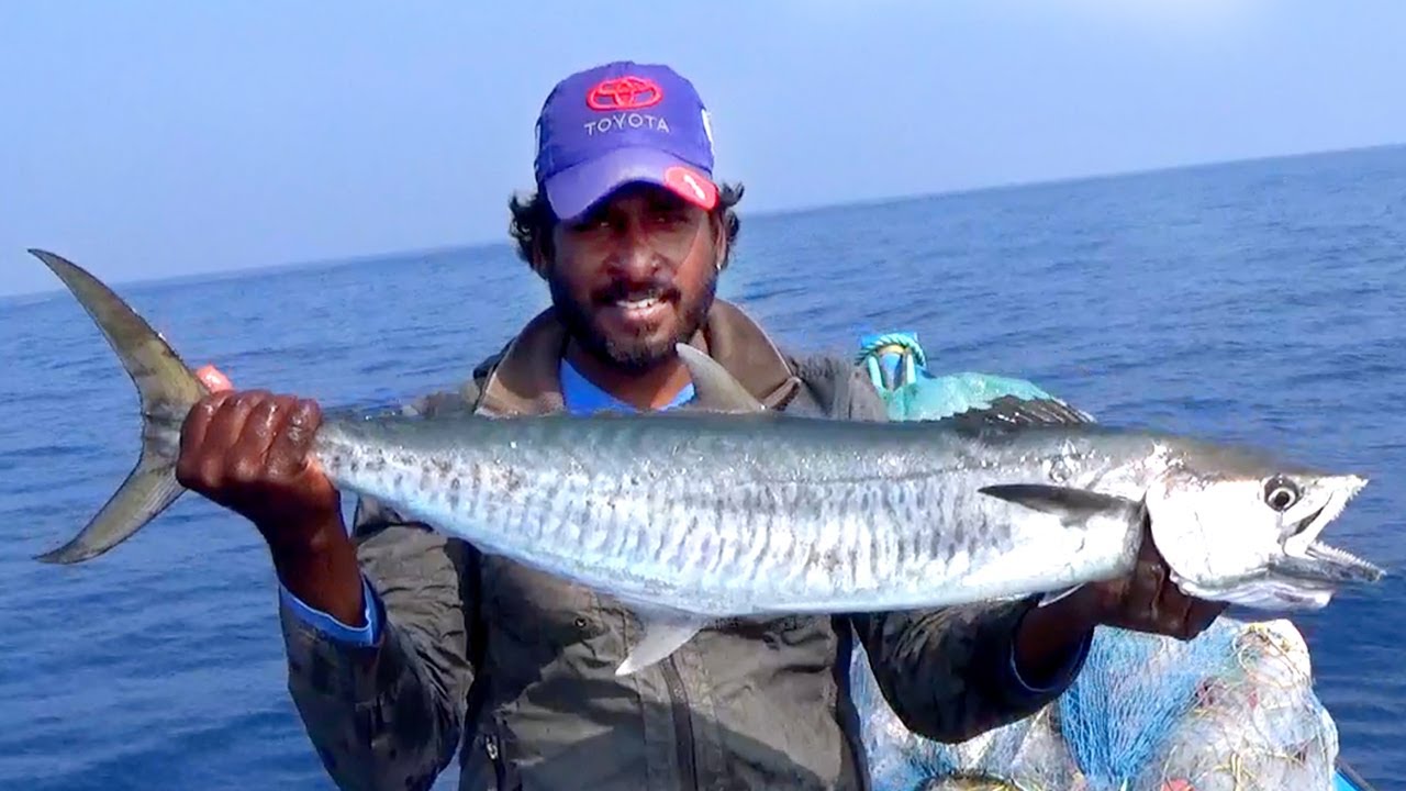 QUEEN FISH / KING FISH catching at OFFSHORE - YouTube