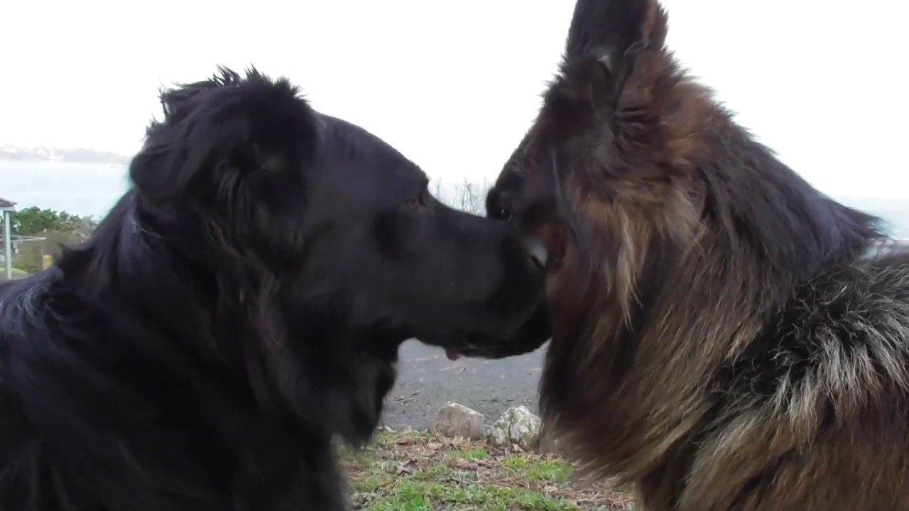 Bear's Bites 13/12/2019 Part 4 of 4 - YouTube