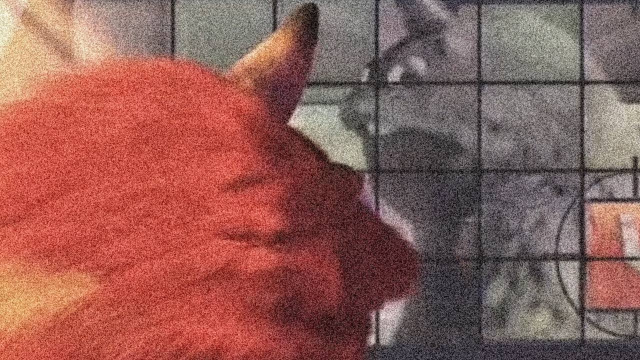 TWENTY THREE NINETEEN - YouTube