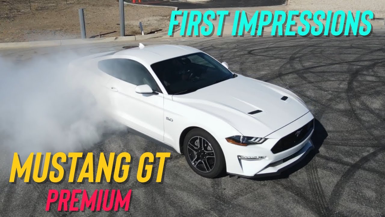 Riding the Thunder | 2022 Mustang GT: The Ultimate Pony Car - YouTube