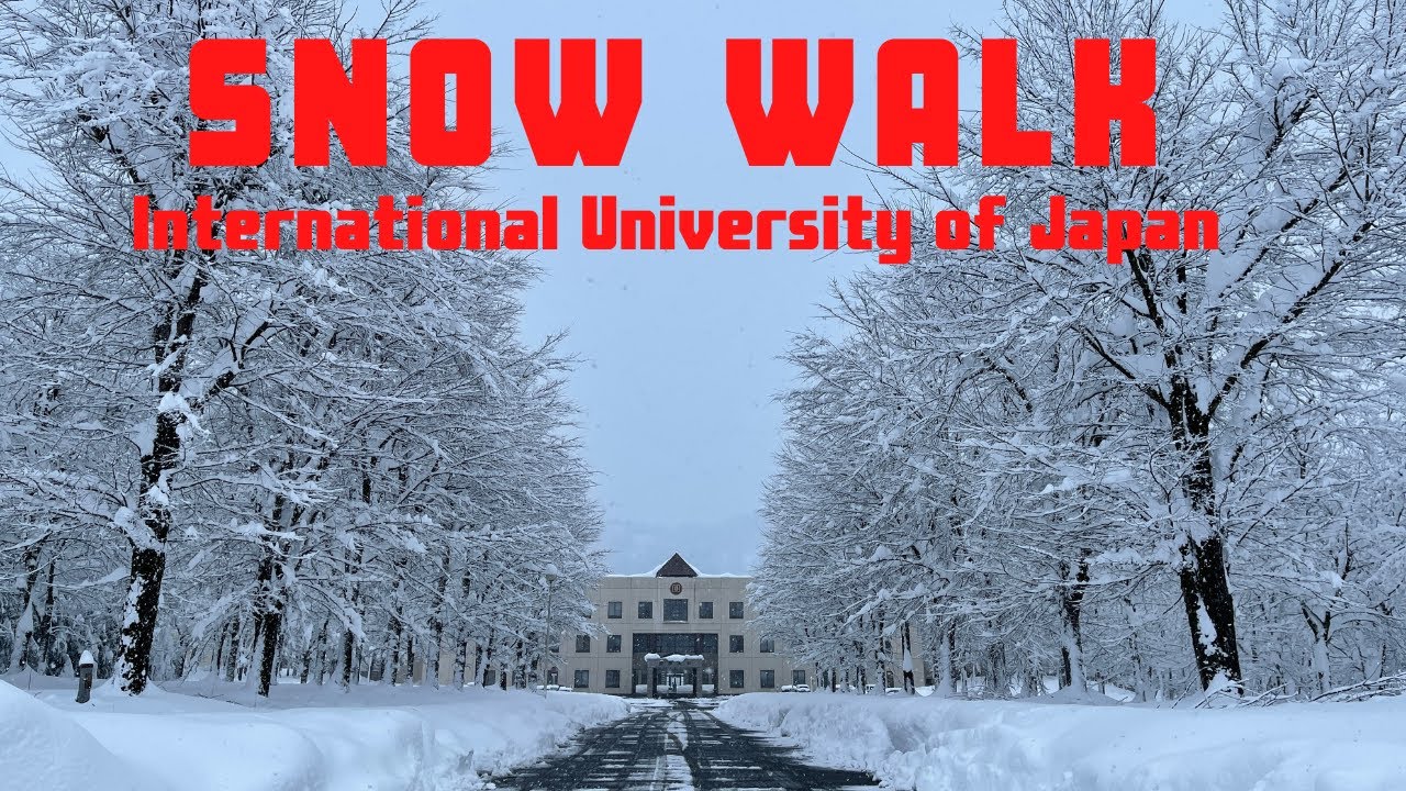 Walk In The Snowfall | Snowfall In IUJ Campus | Winter In Niigata ...