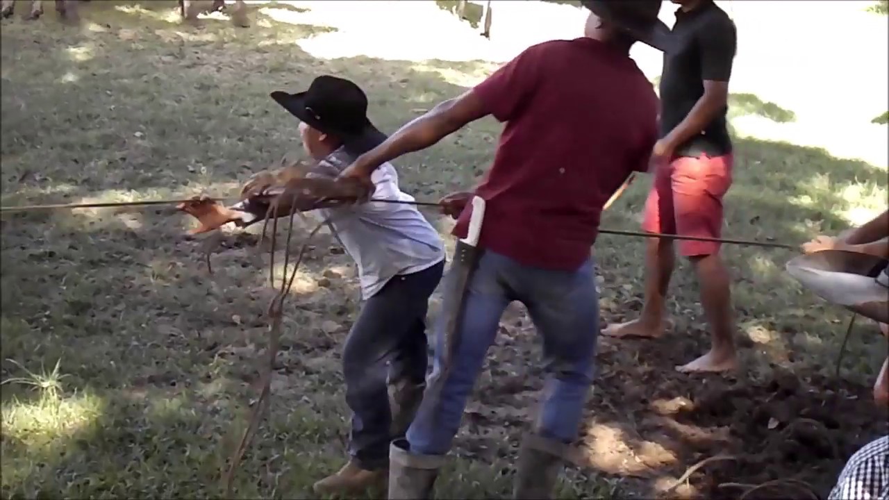 Aparte y lazo criollo - momentos - YouTube