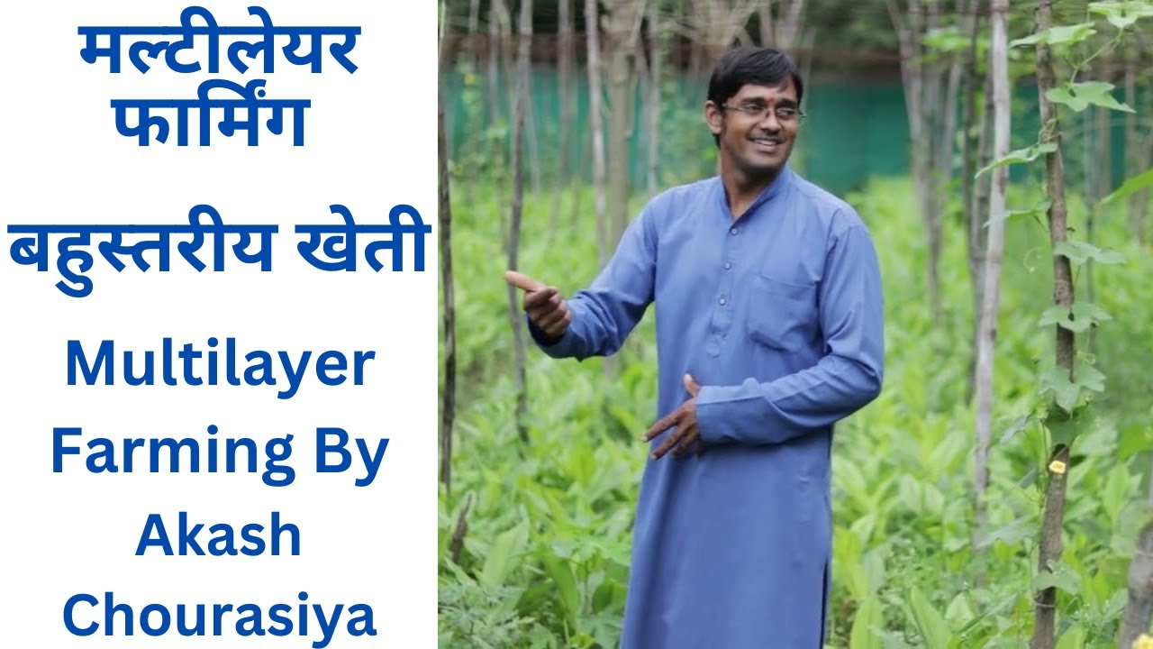 what is multilayer farming by akash chourasiya, बहुस्तरीय खेती - YouTube