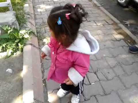 yaren kedi kovalıyor
