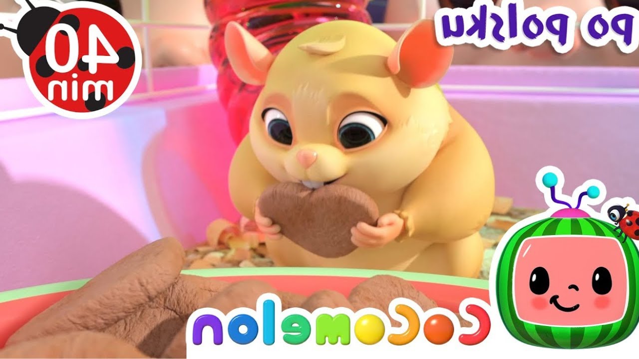 Nasz Chomik | CoComelon po polsku | Piosenki dla dzieciKids Cartoon ...