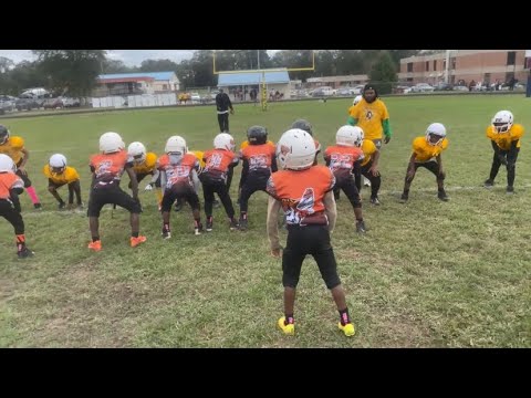 StoryTime | Clinton Tigers 8U Season Highlights - YouTube