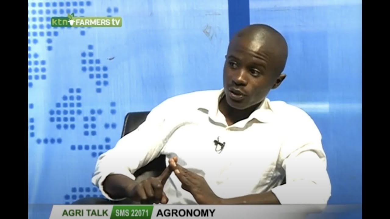 The Importance of Good Agronomic Practices - Agri Talk - YouTube