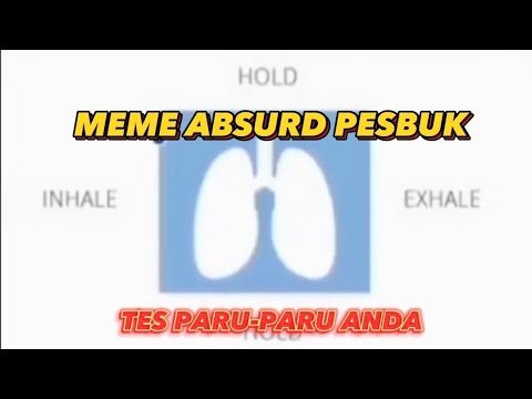 meme absurd humor part 6 - YouTube