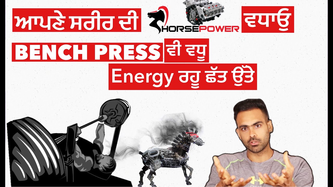 INCREASE BENCH PRESS - Build Your Body HORSE POWER | | Strength Gain ...