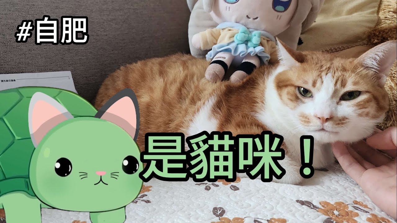 來到大家最喜歡的貓咪+NeuroFumo部分 #自肥 【Neuro-Sama】 - YouTube