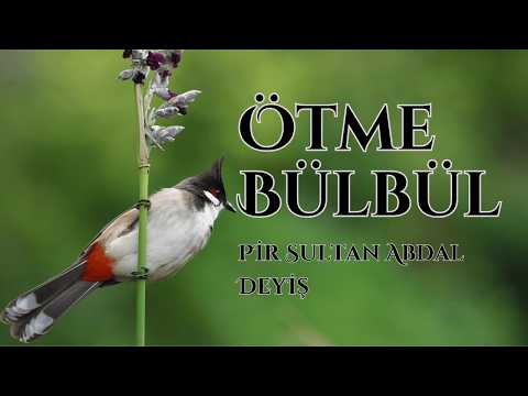 Ötme Bülbül Ötme | Pir Sultan Abdal | Türkü : Deyiş | Sazlı Yolcu