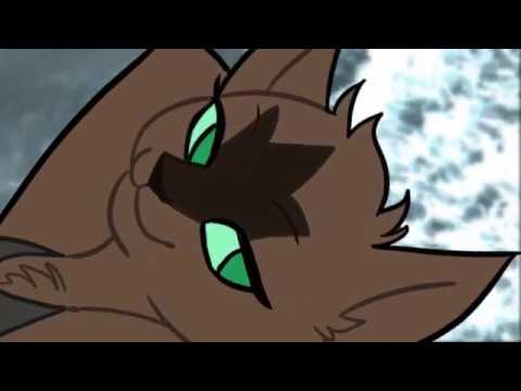 Bikini Body~ | Meme