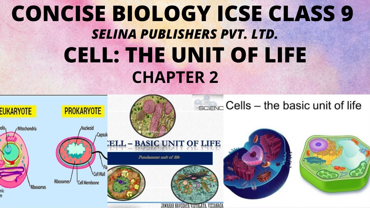 CELL: THE UNIT OF LIFE CLASS 9 ICSE CHAPTER 2 - YouTube