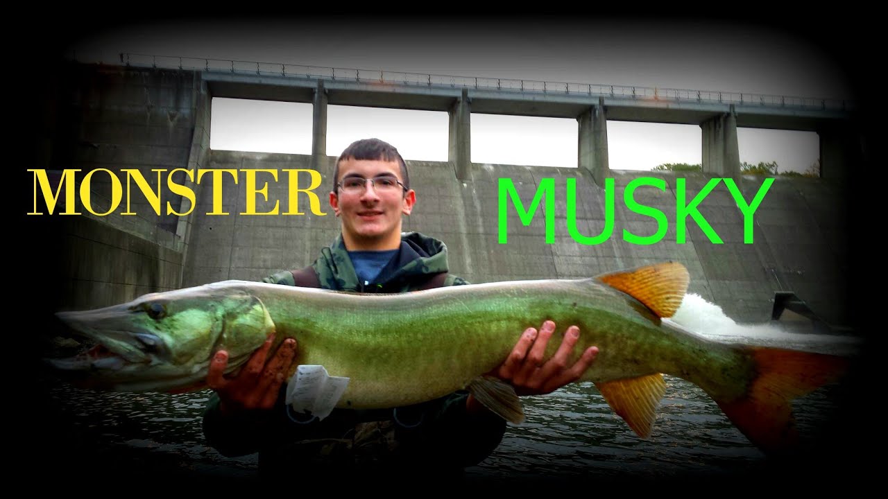 Giant Musky- Shenango River, PA - YouTube
