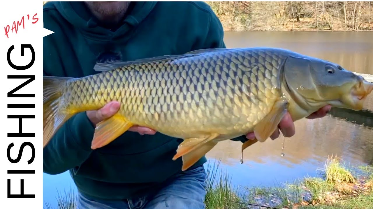 PECHE de carpe A LA MOUCHE | FISHING PAMS - YouTube
