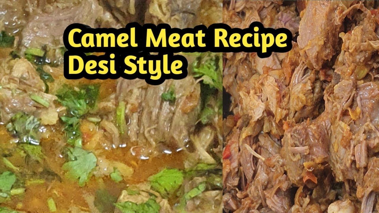 Camel Meat Recipe | اُونٹ کا گوشت | - YouTube