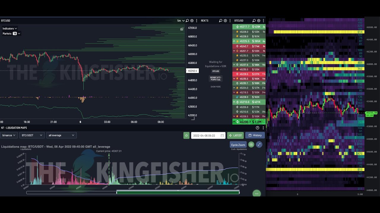Thekingfisher Bookmap Tradlinglite BTC live liquidations and order book ...