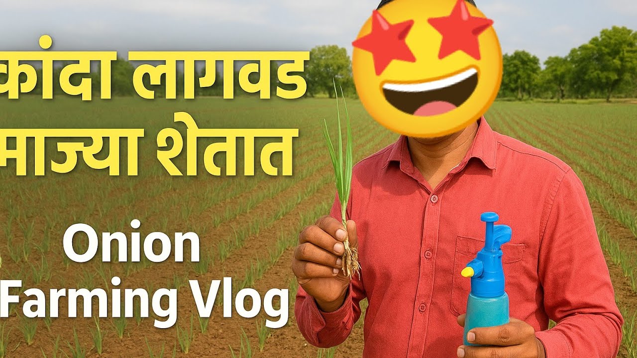 माझ्या शेतातील कांदा लागवड | Onion Farming Vlog in Marathi | Farm Diary ...