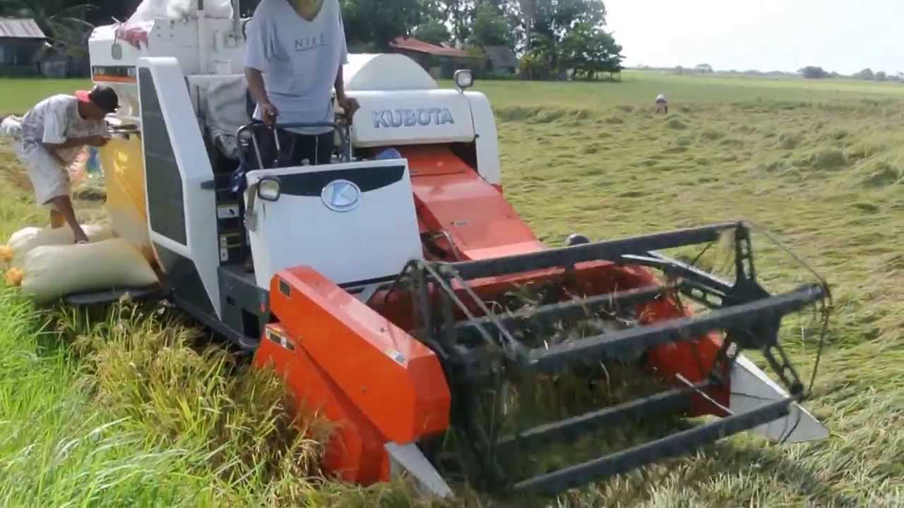 02 KUBOTA DC60 COMBINE HARVESTER OTON ILOILO PHILIPPINES 2013 - YouTube