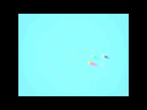 LEGO Ninjago Zane’s Death Tribute - YouTube