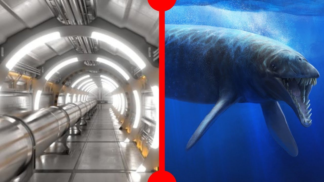 Bigger Hadron Collider & Basilosaurus Diet - 7 Days of Science - YouTube