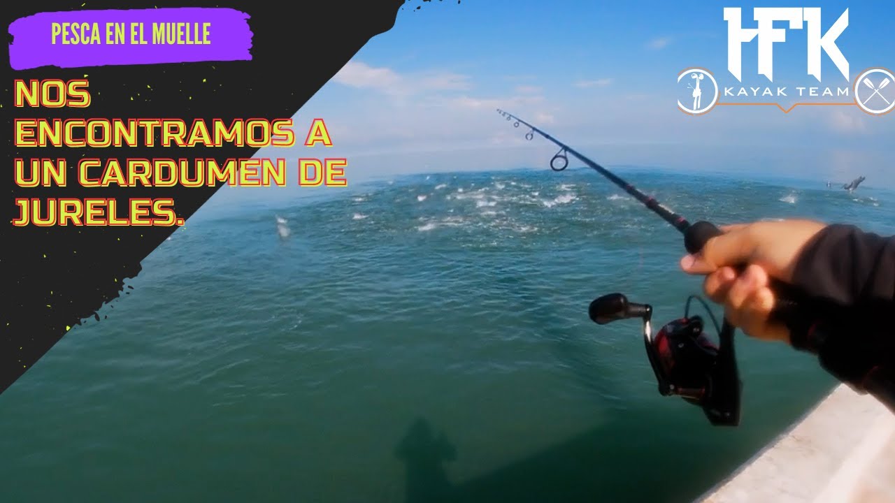 UN GRAN CARDUMEN DE JURELES SE ACERCA AL MUELLE EN TELCHAC¡¡¡ PESCA EN ...