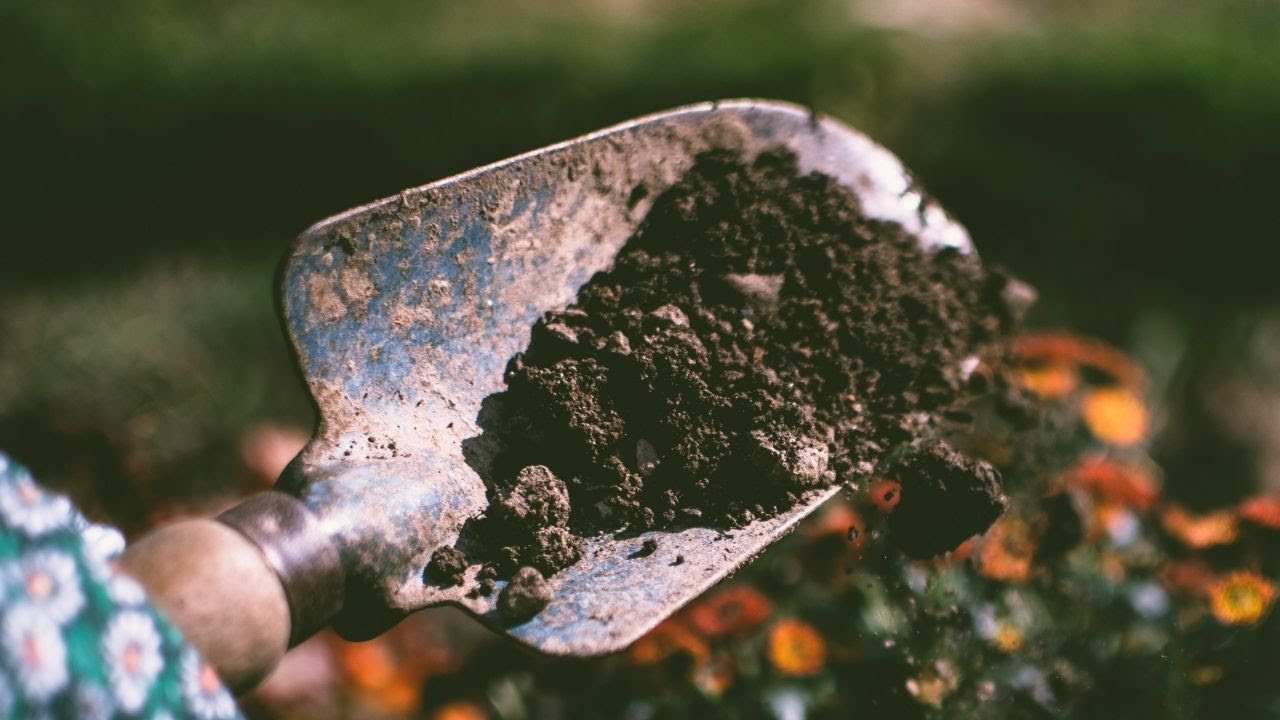 The Benefits of Johnson-Su Bioreactor Compost | Dr. David Johnson - YouTube