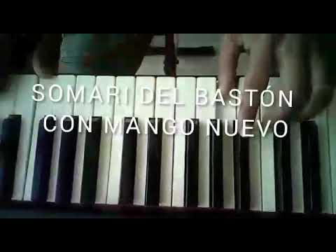 Somarí del bastón con mango nuevo. Poema de Gustavo Pereira ...