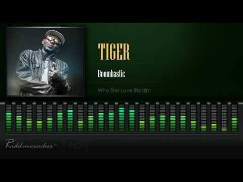 Tiger - Boombastic (who She Love Riddim) [HD] - YouTube
