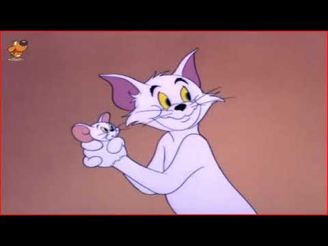 Cartoons For Kids   Tom and Jerry Episode 92   Mouse for Sale Part 3