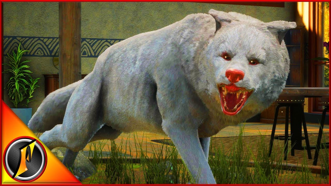 Cuatro Colinas Delivering the Rares! - YouTube