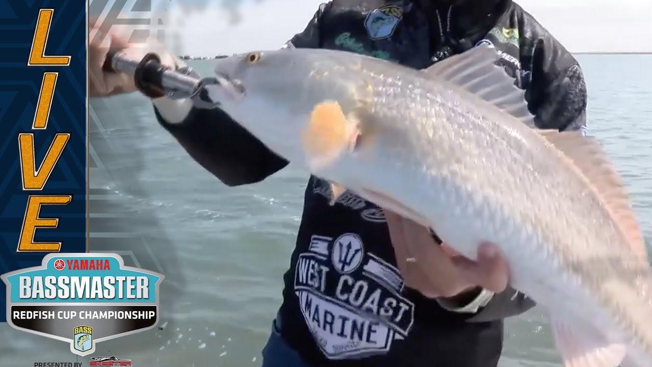 REDFISH: Taylor and More land first 8 pounder of Day 2 - YouTube