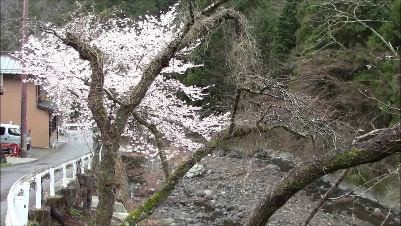 山梨県身延川の2015年03月29日, Minobu River in Yamanashi, Japan, Río Minobu en ...