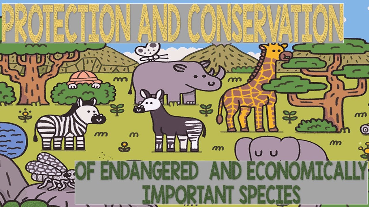 Protection and Conservation of Endangered Species | Animation - YouTube
