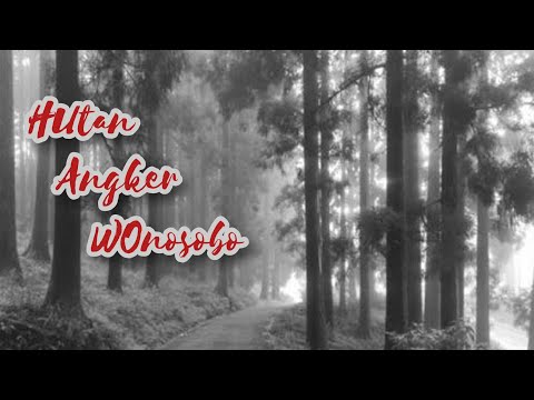 HUTAN ANGKER WONOSOBO Film Horor Indonesia Full Movie