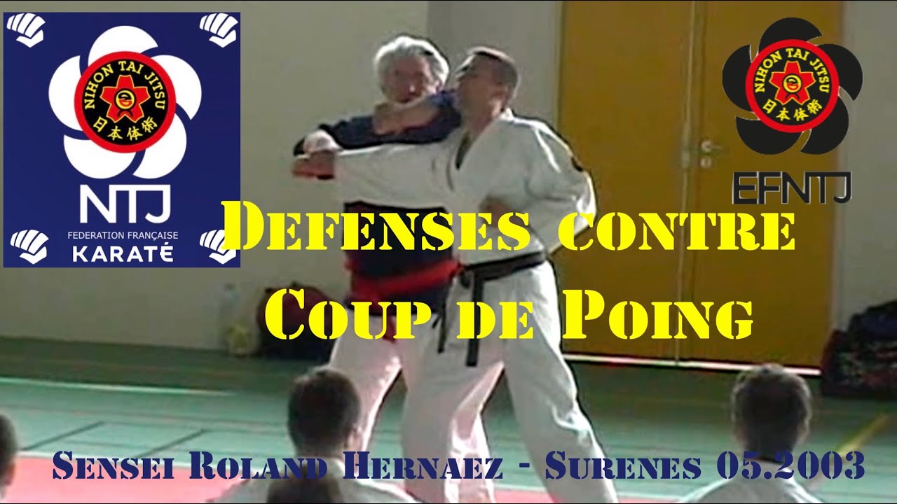 Nihon Tai-Jitsu : défenses contre coup de poing direct (Oi Tsuki ...