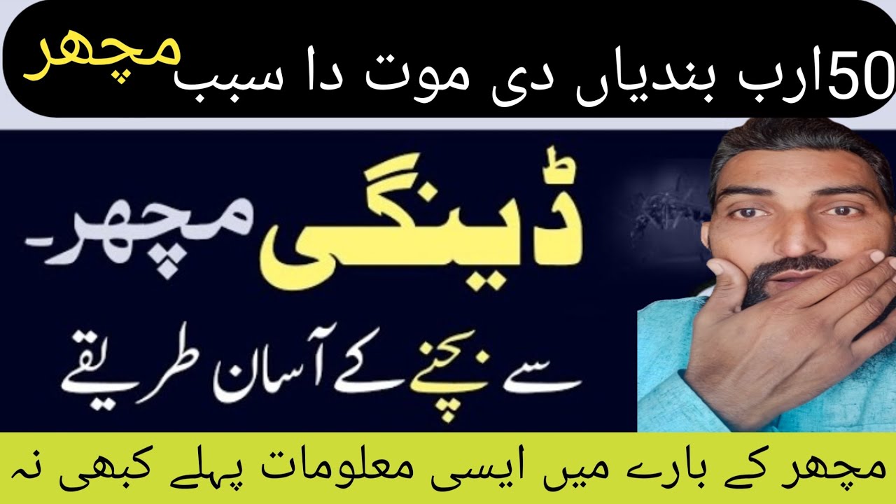 Dengue Symptoms and Treatments. Dengue ka ilaj | Dengue Ki Alamat ...
