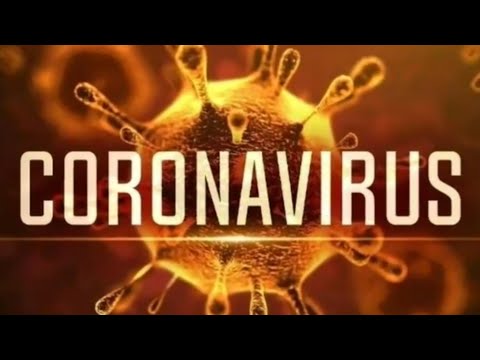 Nədir Axı bu koronavirus Koronavirus haqqında maraqlı məlumat necə qorunmaq Olar?