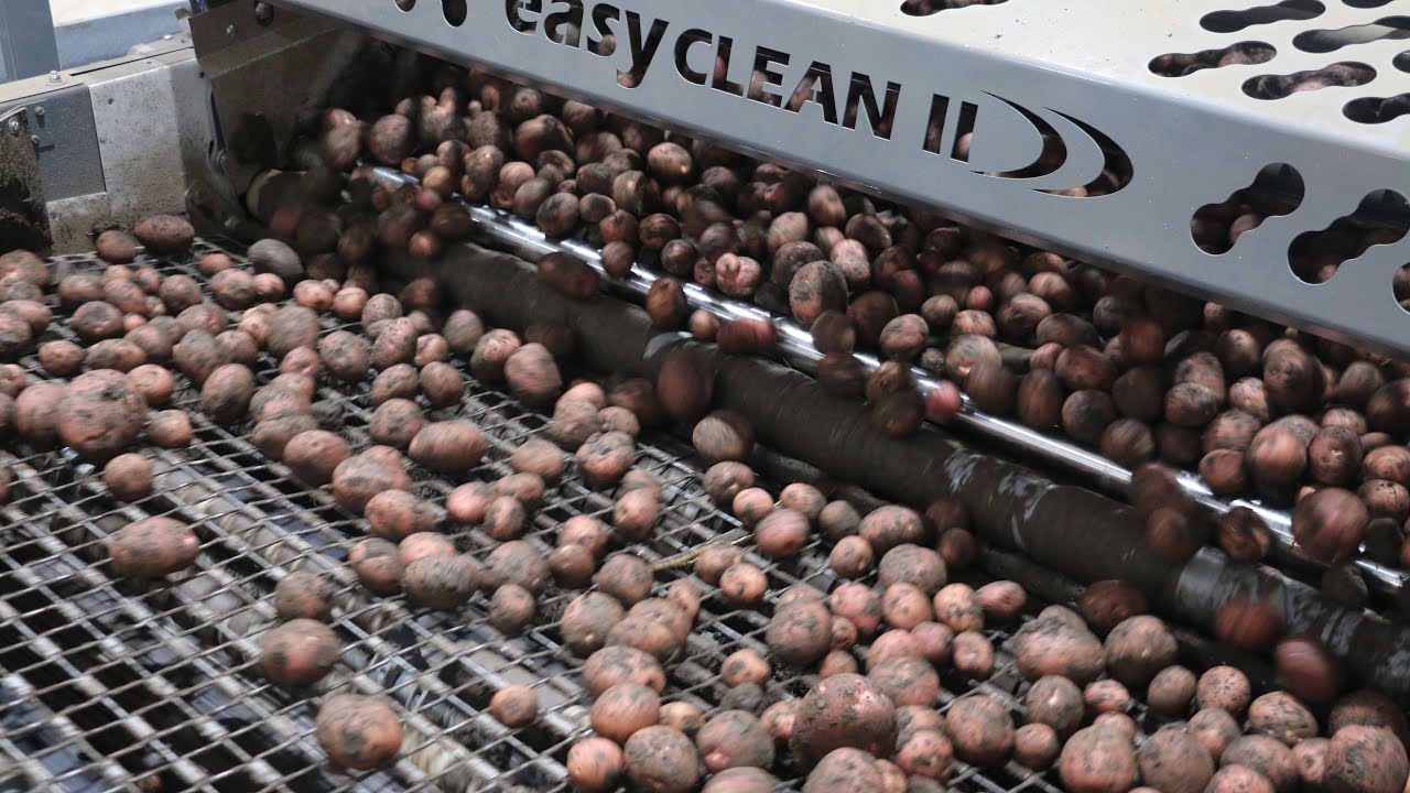 Potato & Vegetable Cleaner, Separator, Dirt Eliminator | Next ...