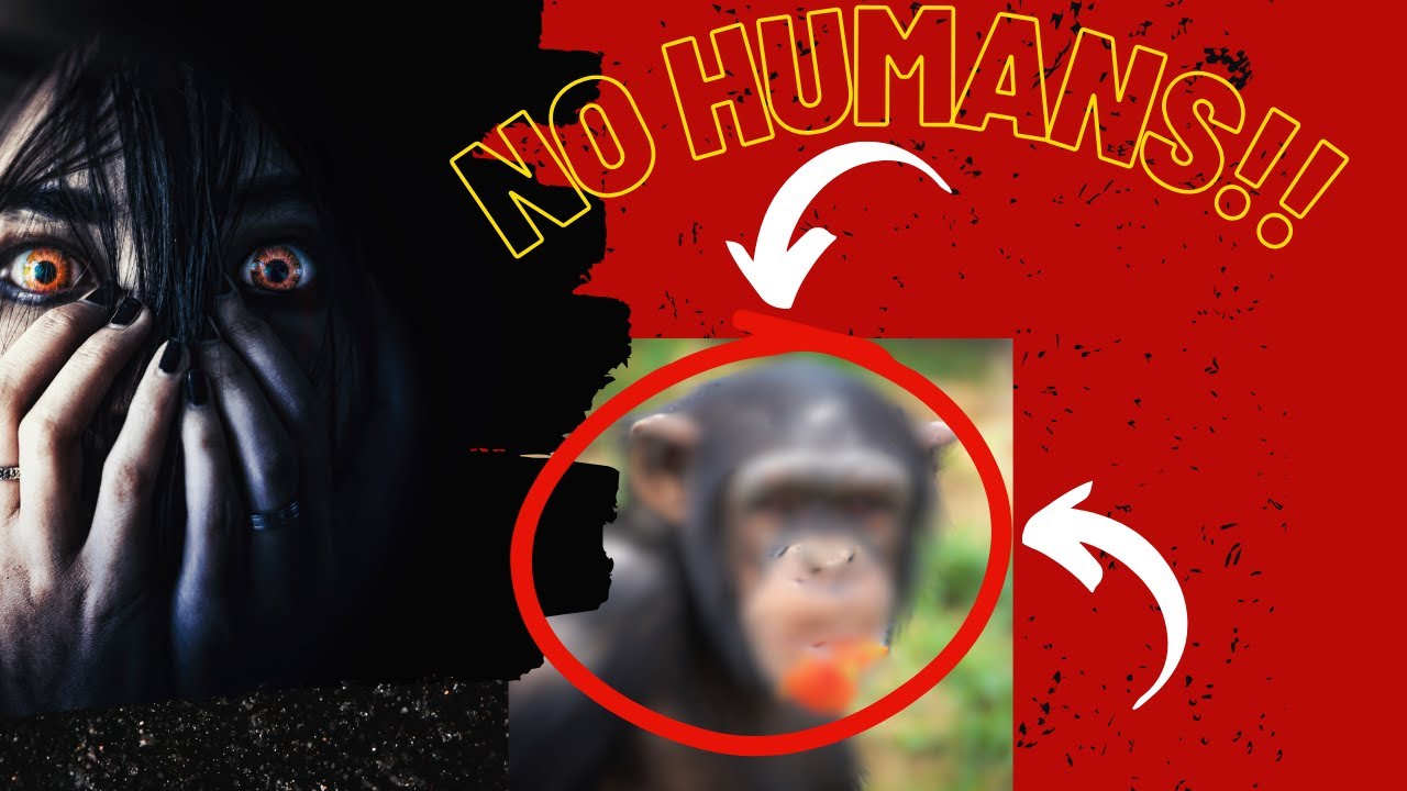 It's the end of Humanity!Discover what the world will be like after ...