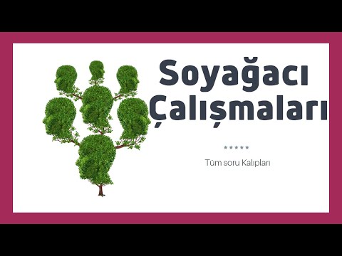 Soyağacı İle İlgili Tüm Soru Kalıpları ( 1. Otozomal Kalıtım )