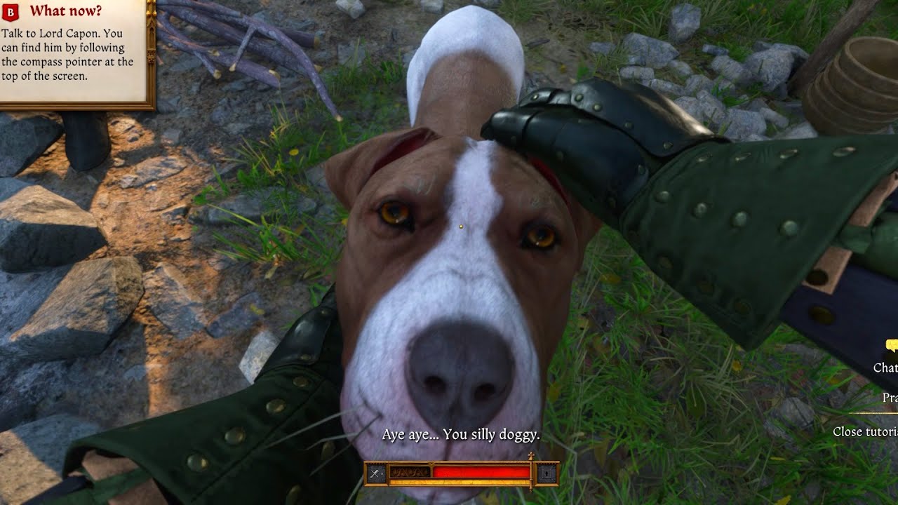 You Can Pet The Dog in Kingdom Come Deliverance 2 - YouTube