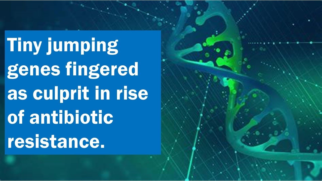 Antibiotic resistance: Tiny jumping gene - YouTube