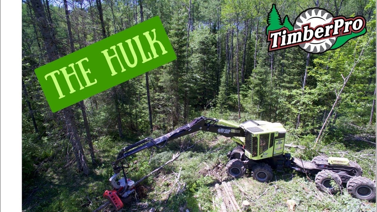 TimberPro TF830C Combo Harvester/Forwarder... The Hulk - YouTube